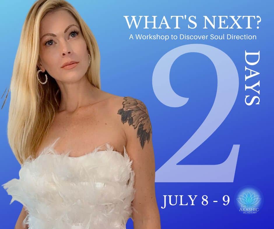 What S Next Workshop The Akashic Academy